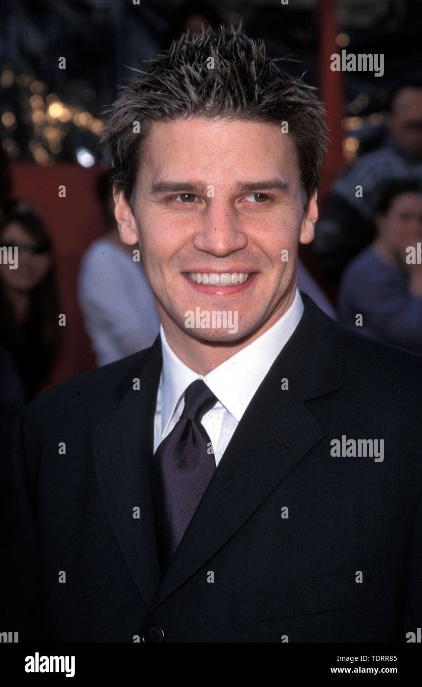 Mar 05, 2000; Los Angeles, CA, USA; Actor DAVID BOREANAZ @ 2000 TV ...