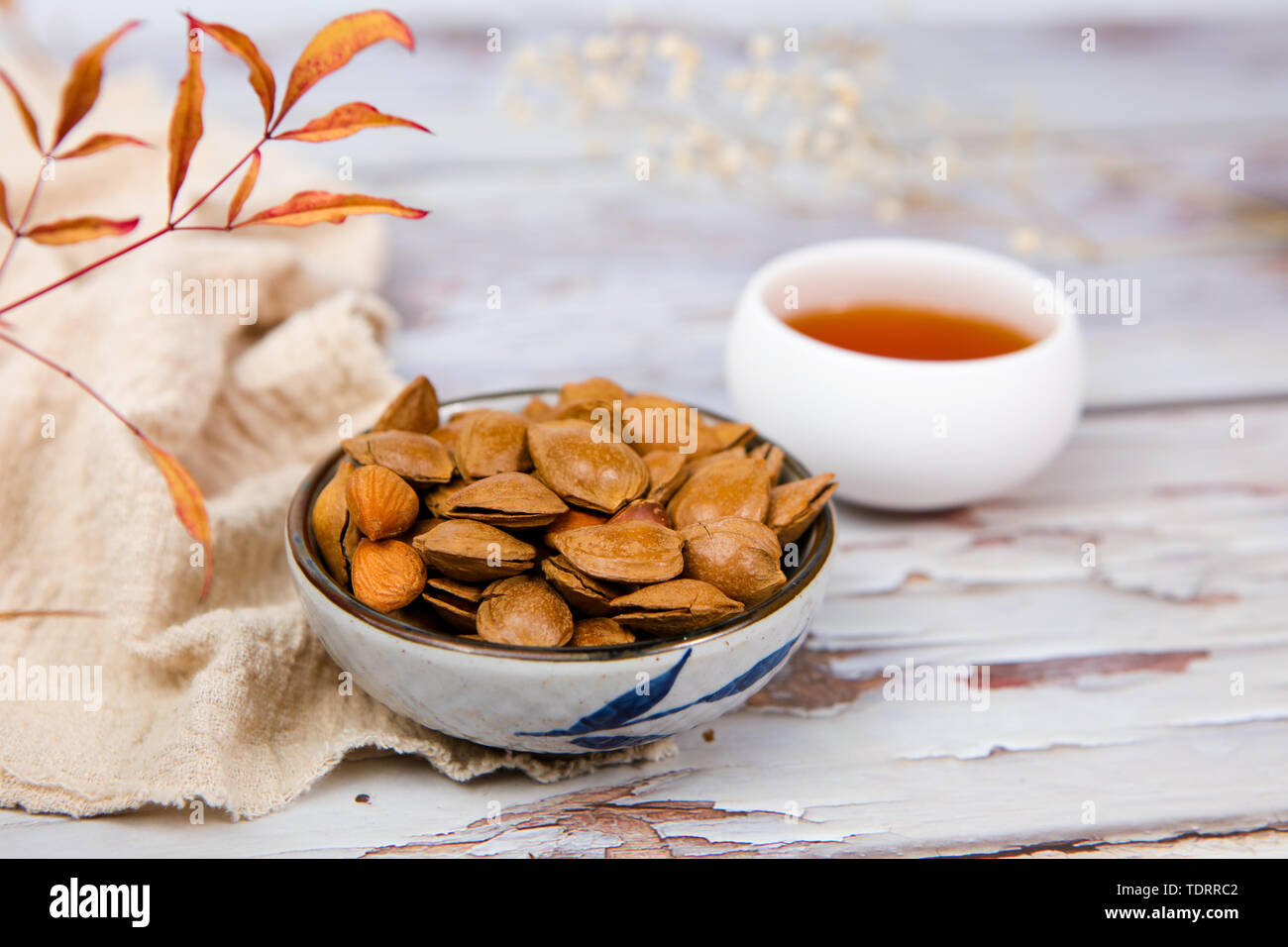 Ginkgo biloba container hi-res stock photography and images - Alamy