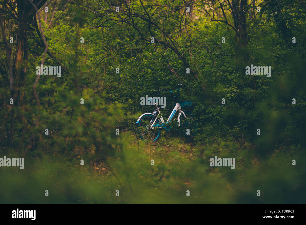 Shared bike chaos Stock Photo - Alamy