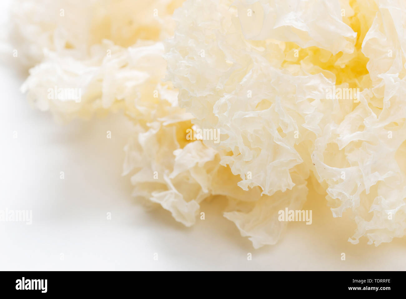 Silver ear fungus tremella fuciformis hi-res stock photography and ...