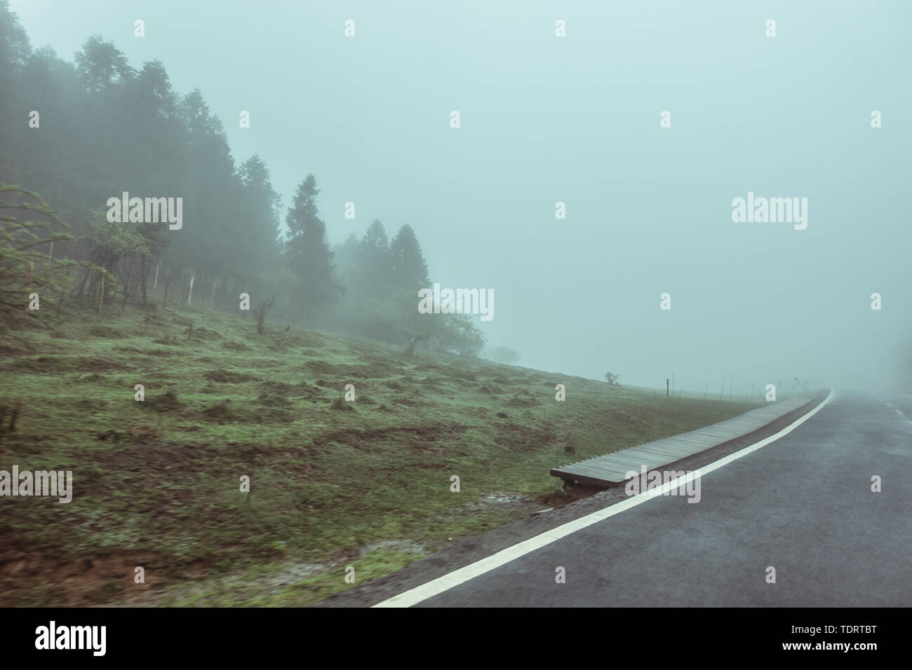 The road in the foggy forest Stock Photo - Alamy