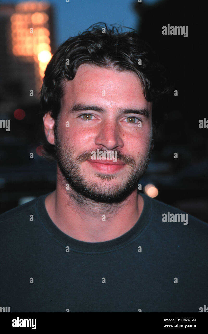 Chris Foley High Resolution Stock Photography and Images - Alamy