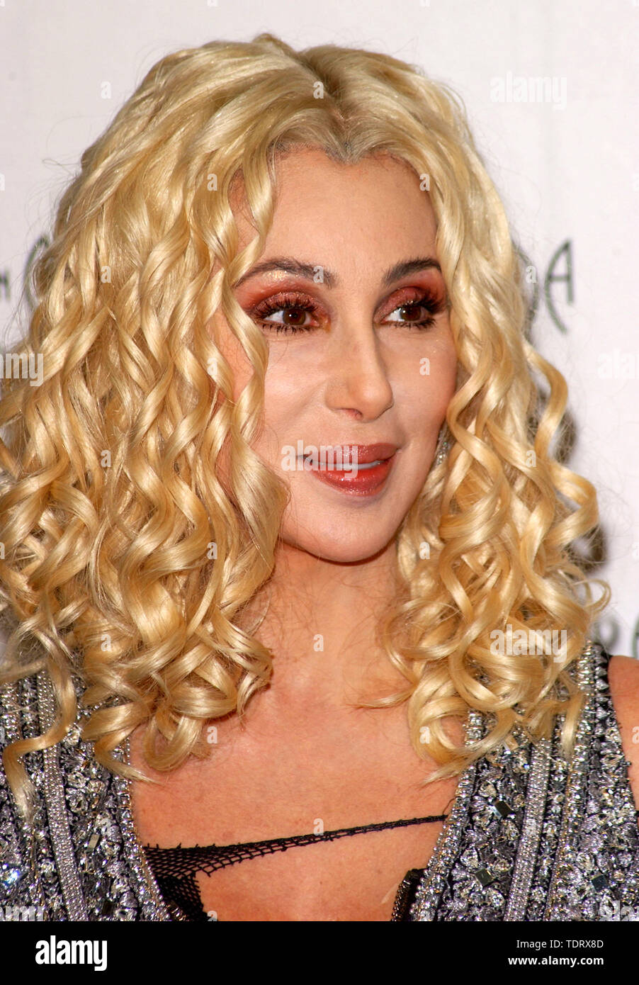 Jan 09, 2002; Los Angeles, CA, USA; Singer CHER @ the 2002 American ...