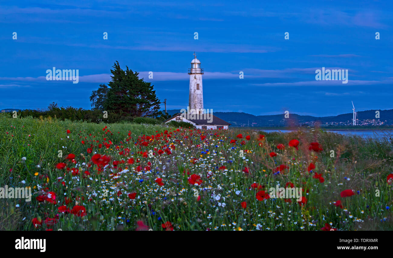 Wild flowers grow in a field next to Hale Lighthouse in Hale ...