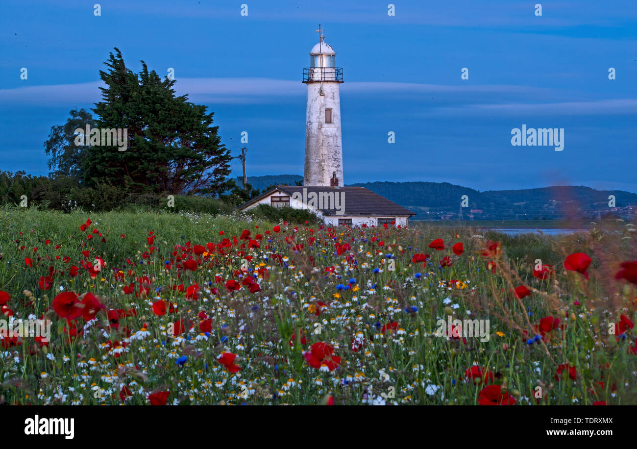 Wild flowers grow in a field next to Hale Lighthouse in Hale ...