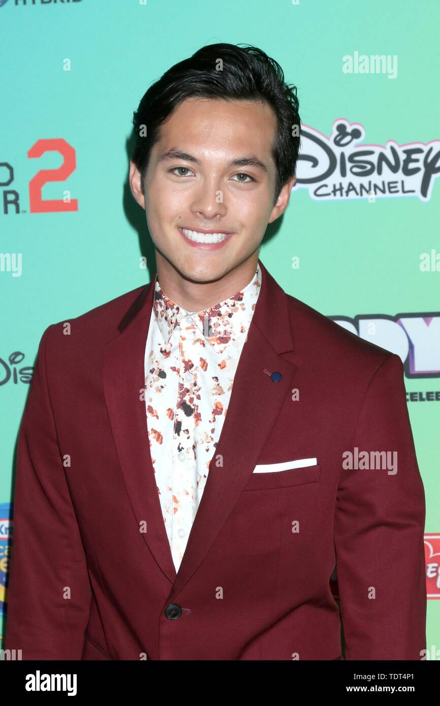 Los Angeles, CA, USA. 16th June, 2019. Laine Hardy at arrivals for 2019 ...