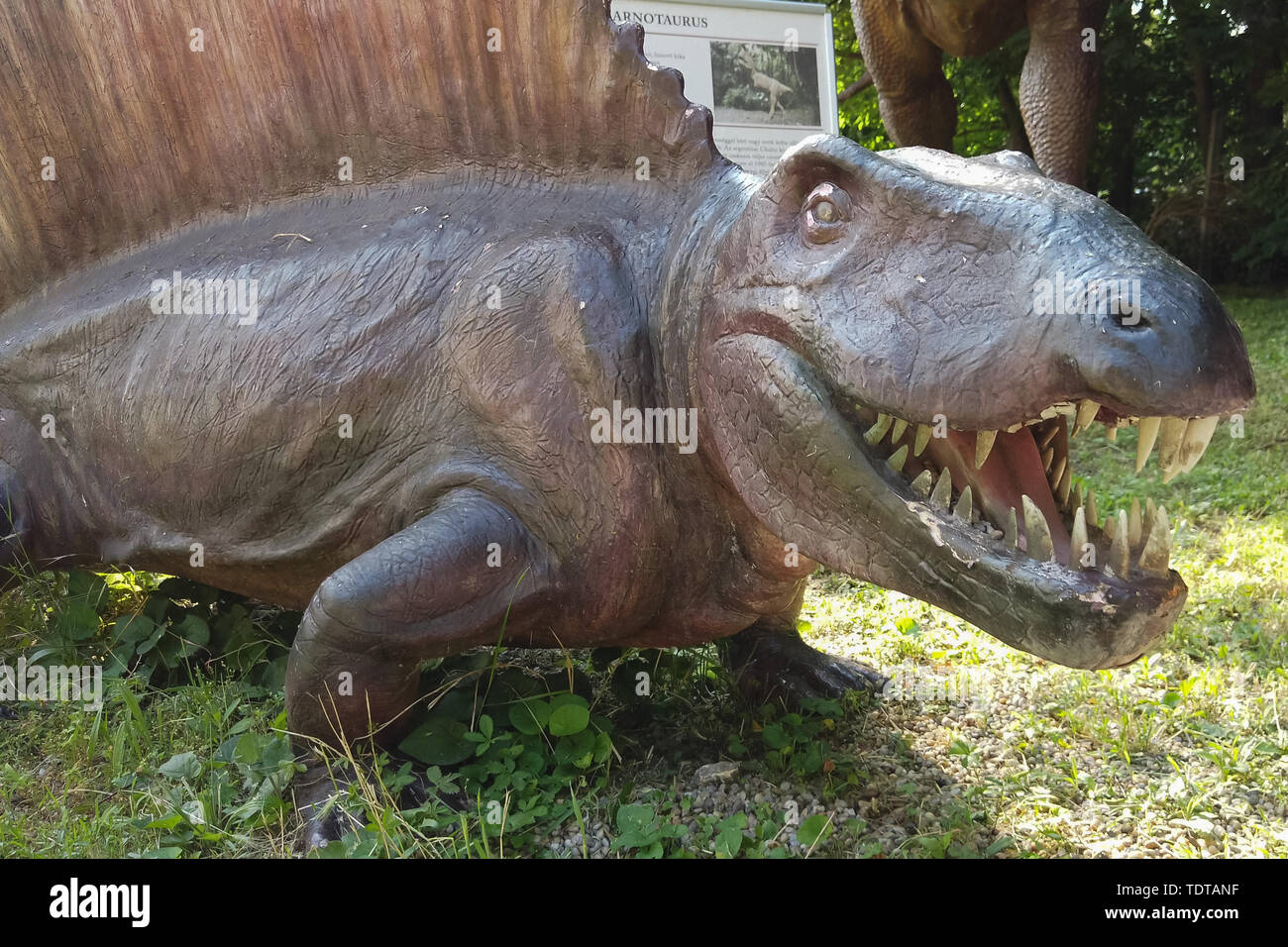 Budapest, Hungary. 18th June, 2019. A dinosaur sculpture is seen on ...
