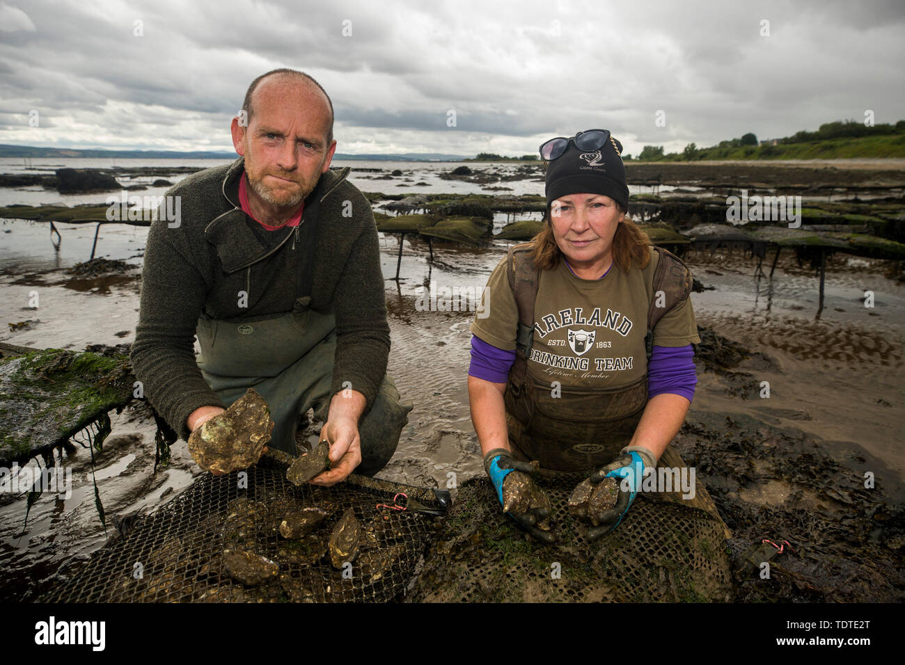 Ciaran Gallagher and Maureen Nolan pose as they work on their oyster ...