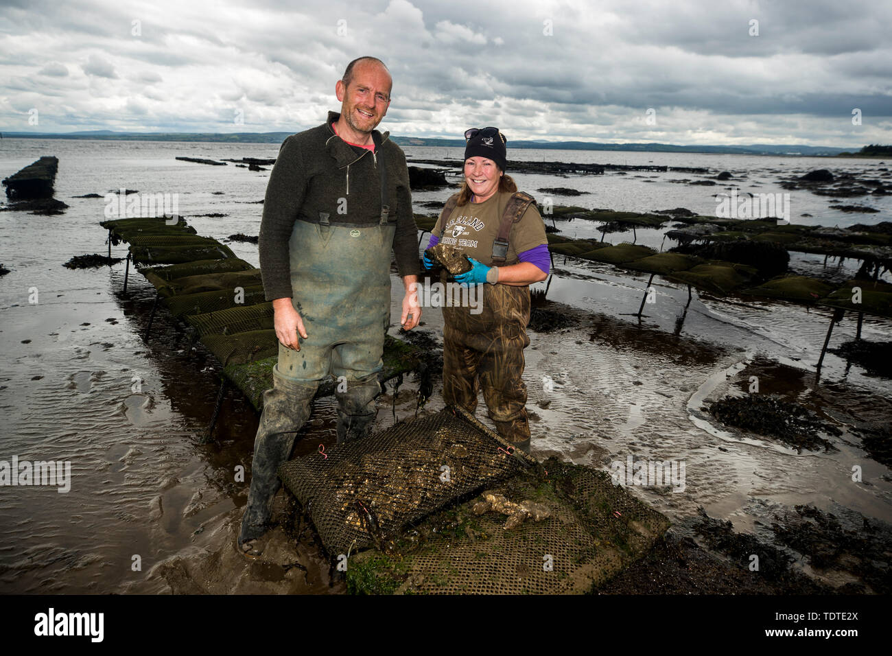 Ciaran Gallagher and Maureen Nolan pose as they work on their oyster ...