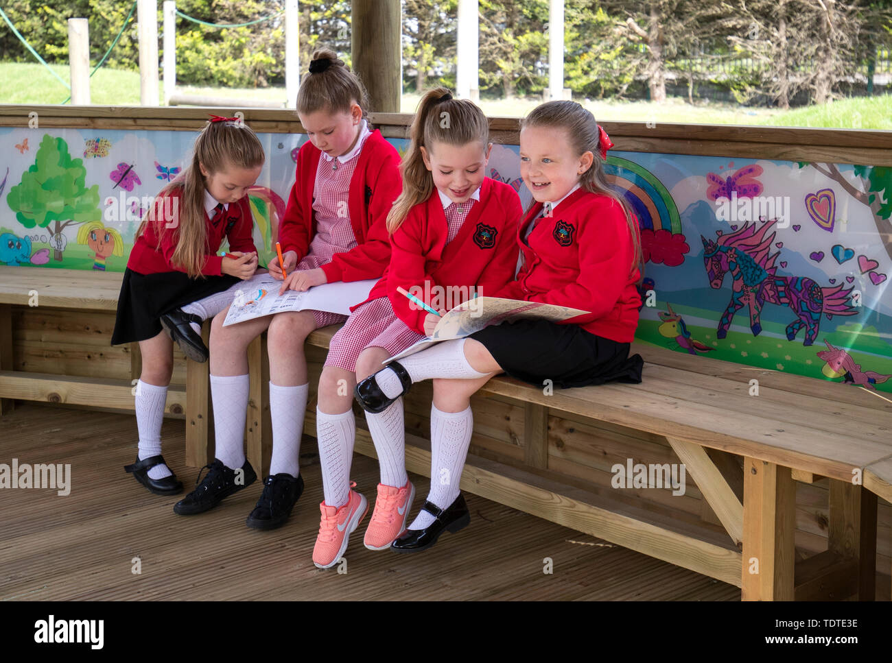 Pupils (left to right) Jorgia Cowie, 5, Chloe Adams, 11, Holly Adams, 8 ...