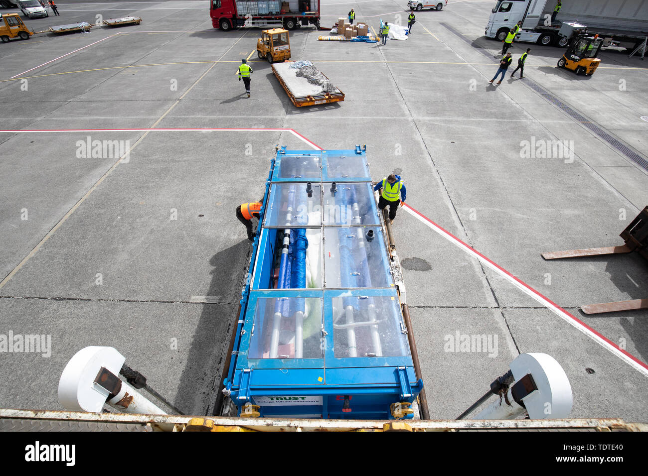 Tanks carrying two beluga whales hi-res stock photography and images ...
