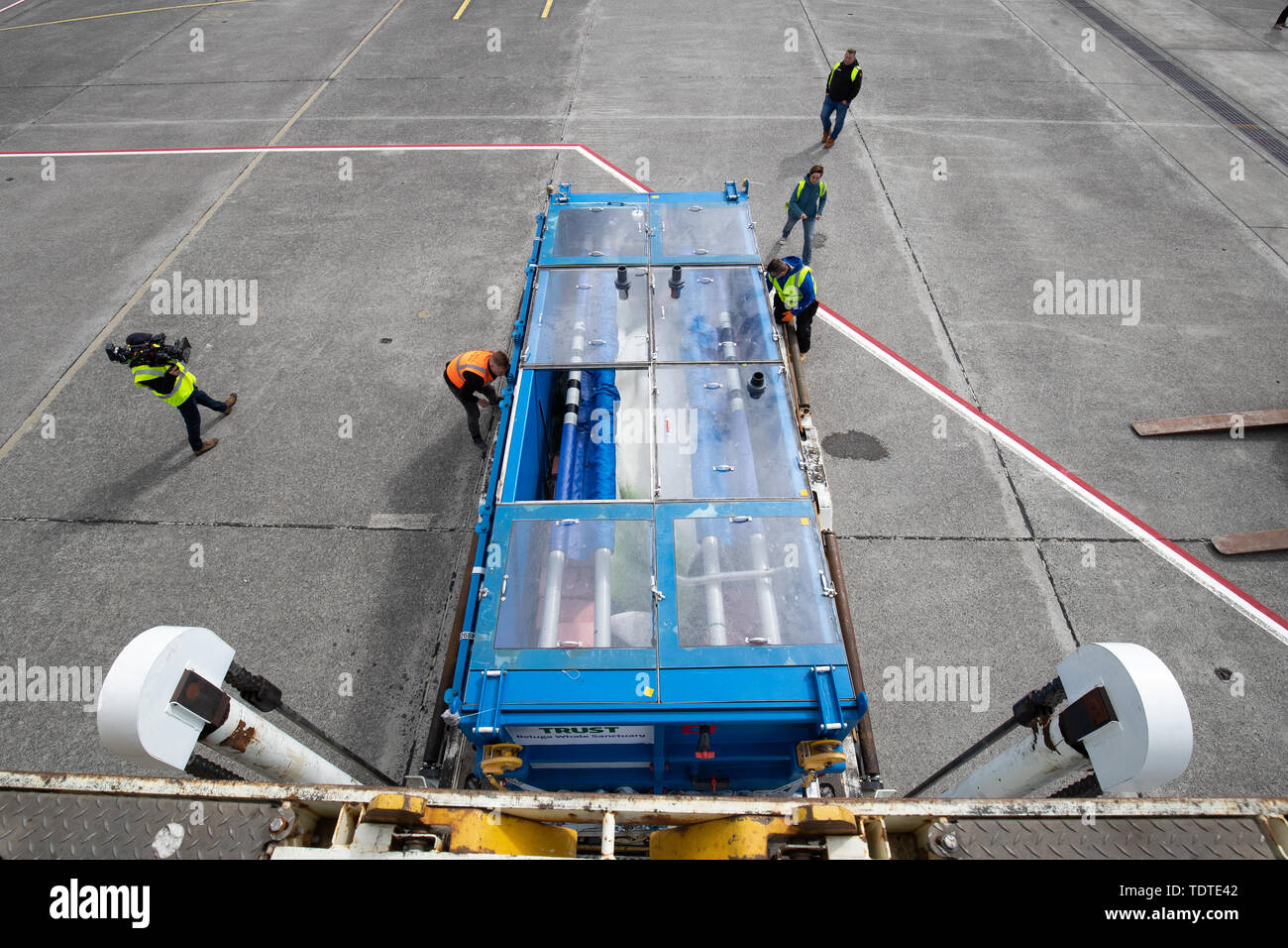 Tanks carrying two Beluga Whales are inspected as they are unloaded ...