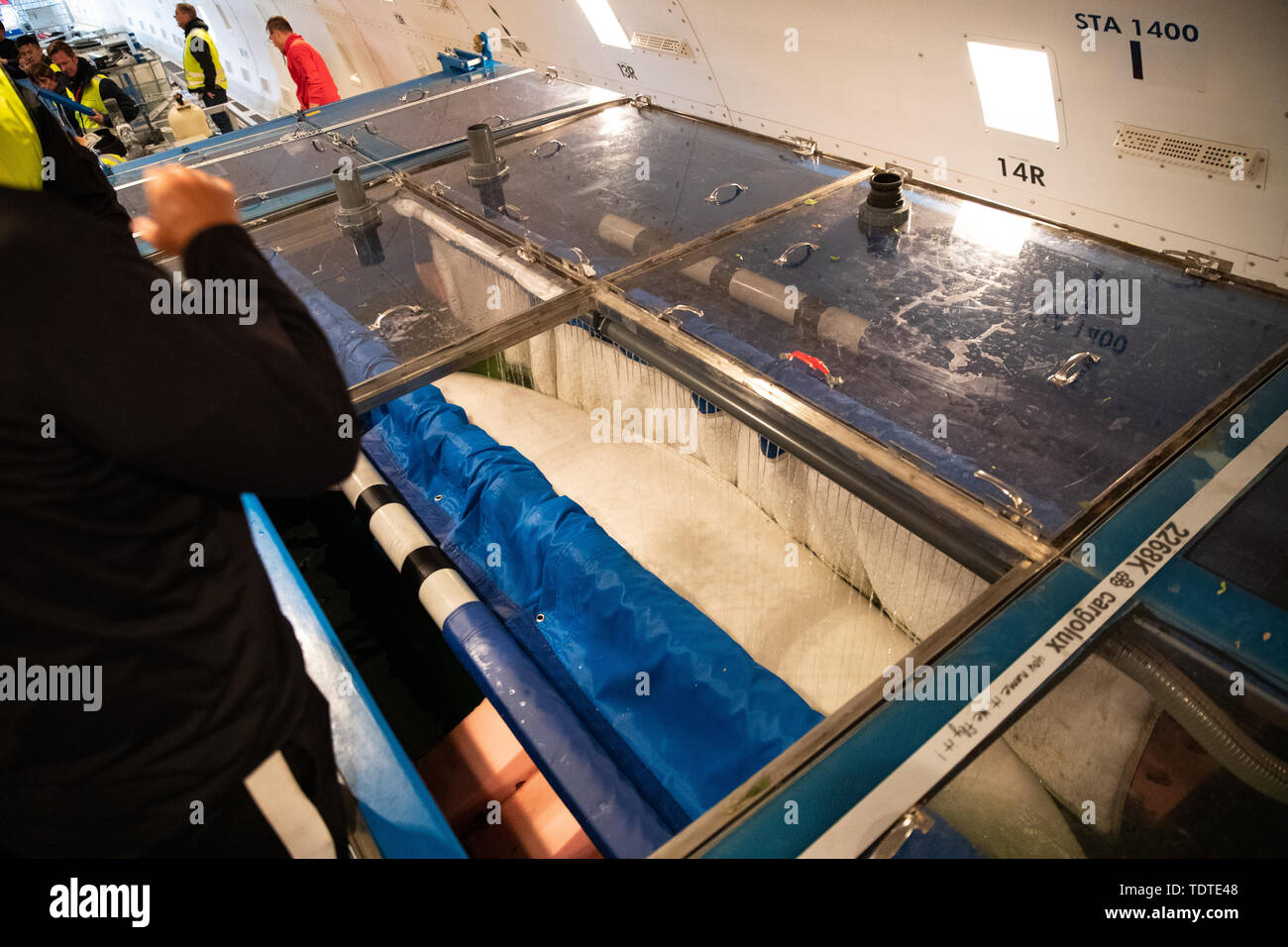 Whale sanctuary project hi-res stock photography and images - Alamy