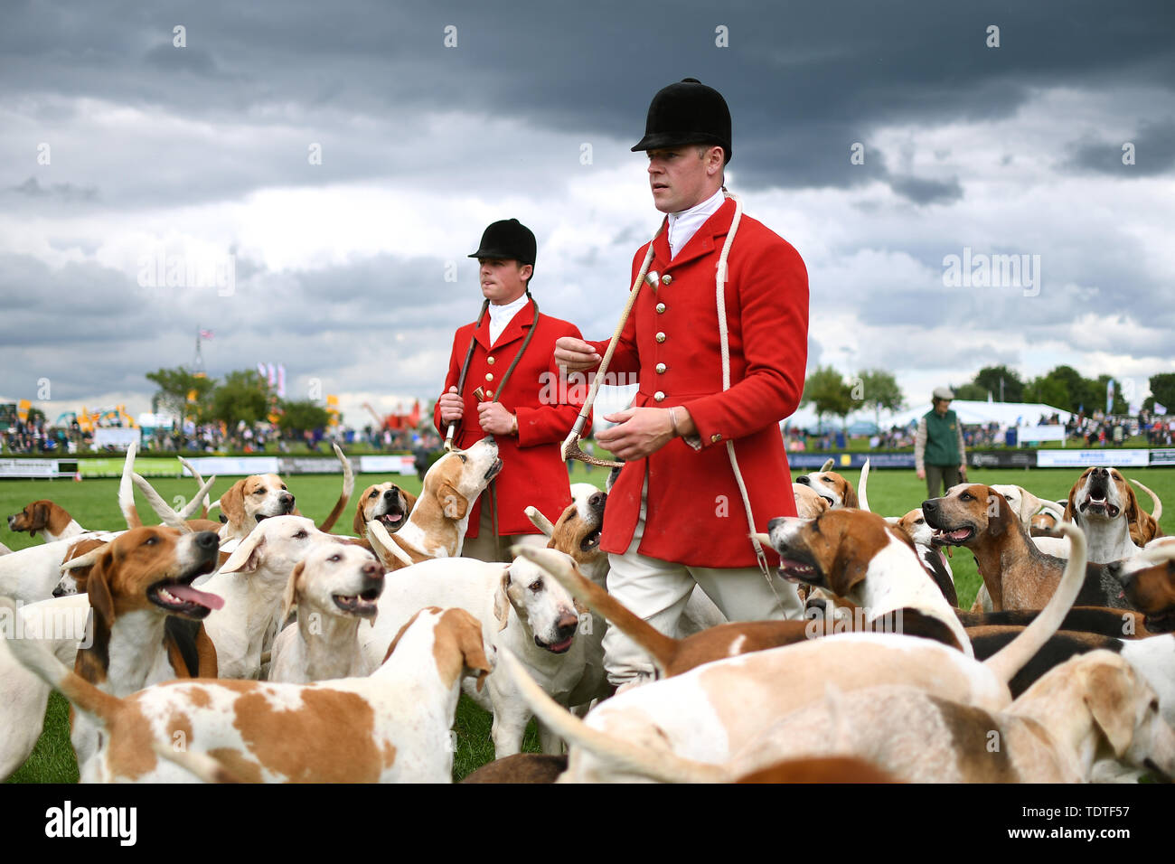 Hunt masters of the Burton Hunt and their hounds parade during The ...