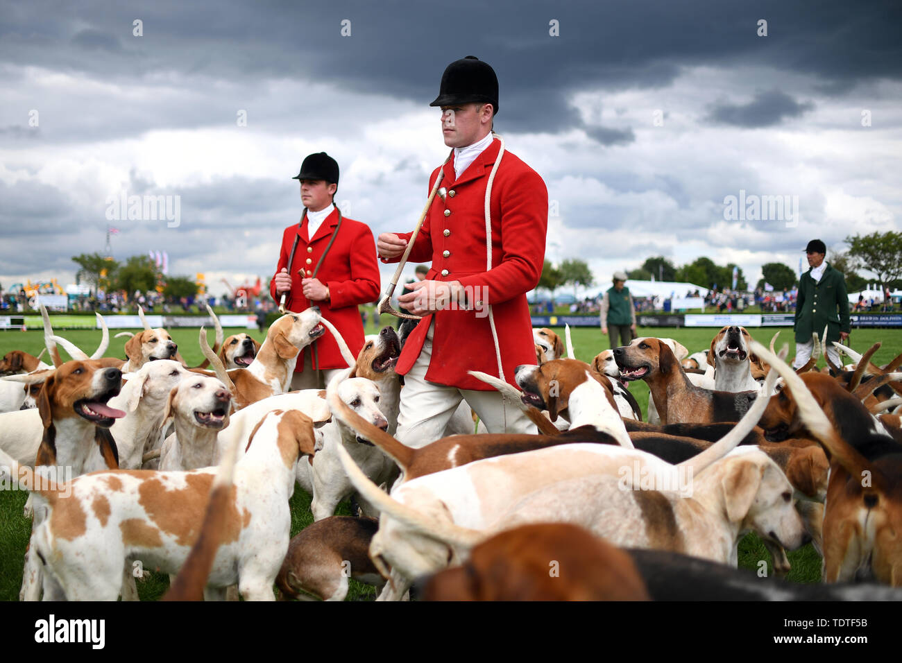 Hunt masters of the Burton Hunt and their hounds parade during The ...
