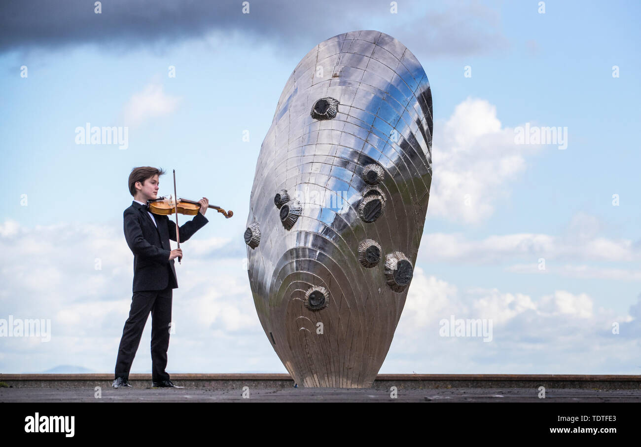 Giant mussel hi-res stock photography and images - Alamy