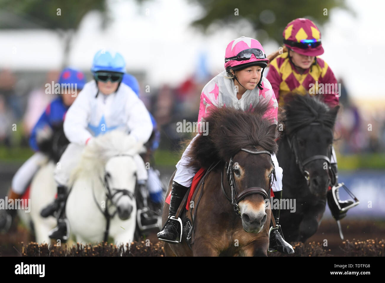 Holly Farr riding Scotscraig Robbie in the Shetland Pony Grand National ...