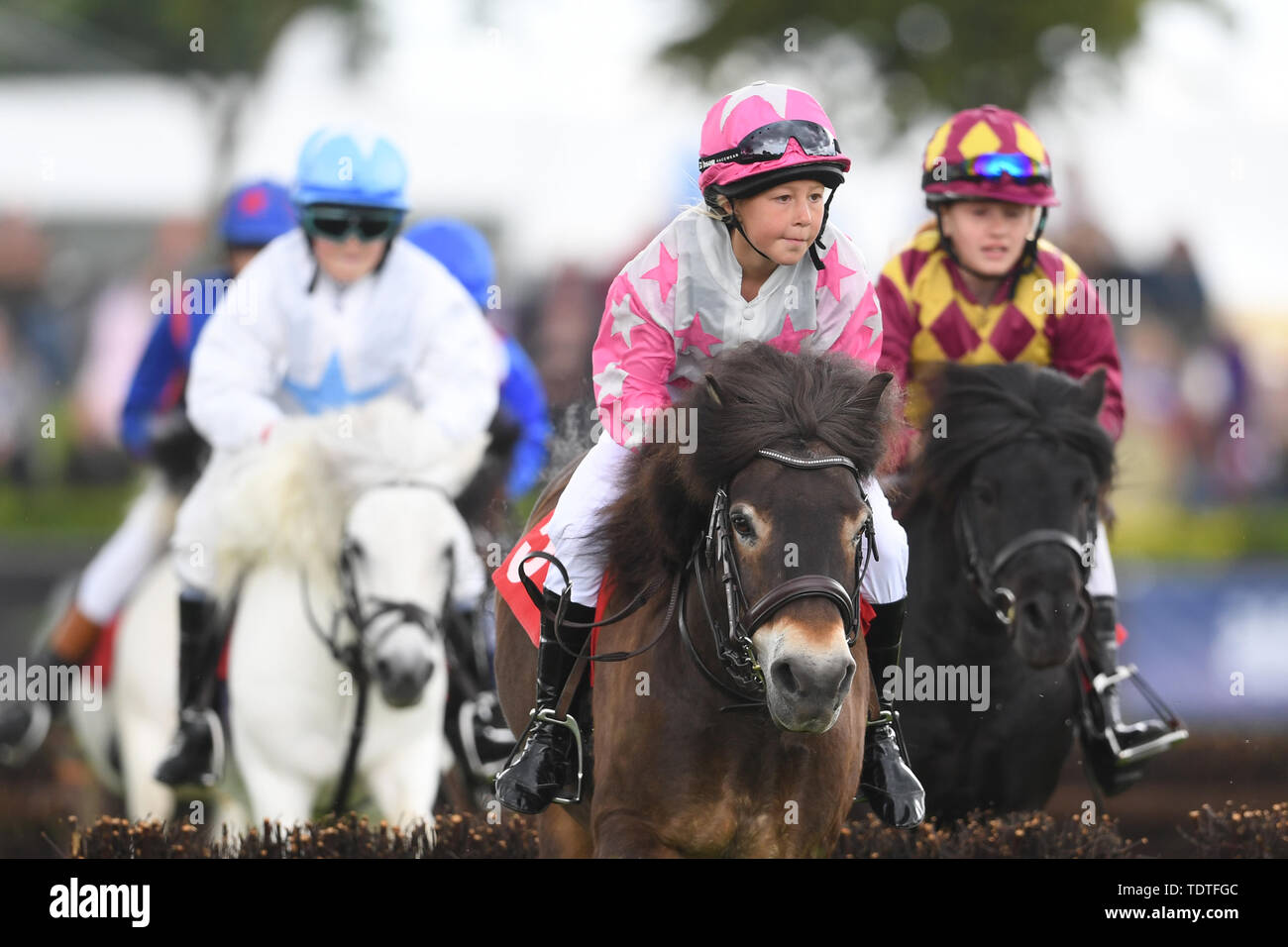 Holly Farr riding Scotscraig Robbie in the Shetland Pony Grand National ...