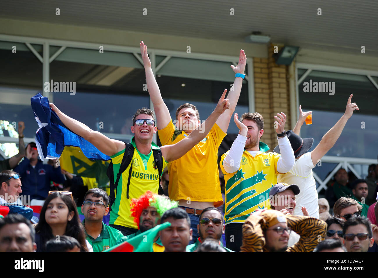 Cricket half length top half hi-res stock photography and images - Alamy