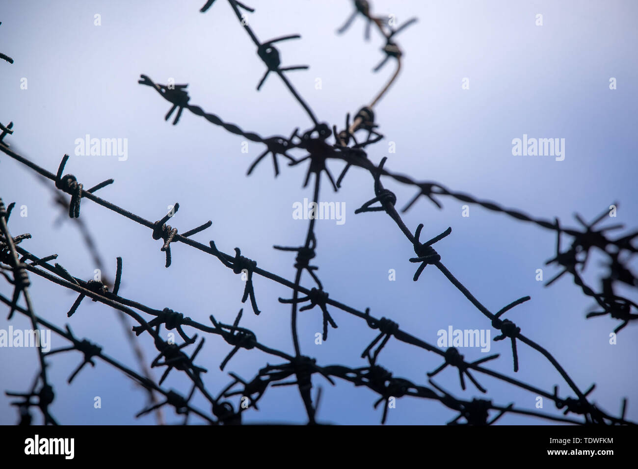 Marienborn, Germany. 31st May, 2019. Barbed wire hangs from a former ...