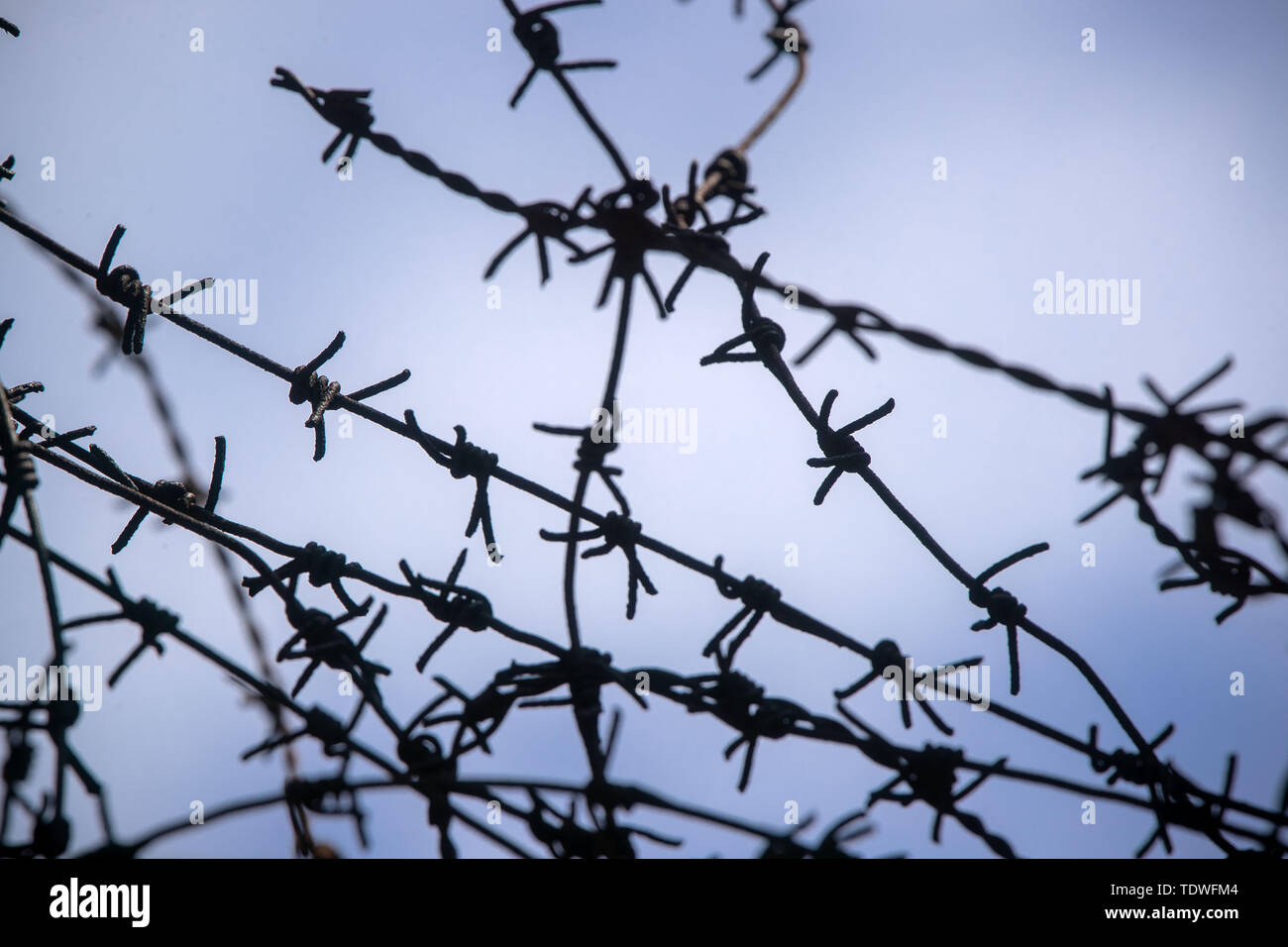 Marienborn, Germany. 31st May, 2019. Barbed wire hangs from a former ...