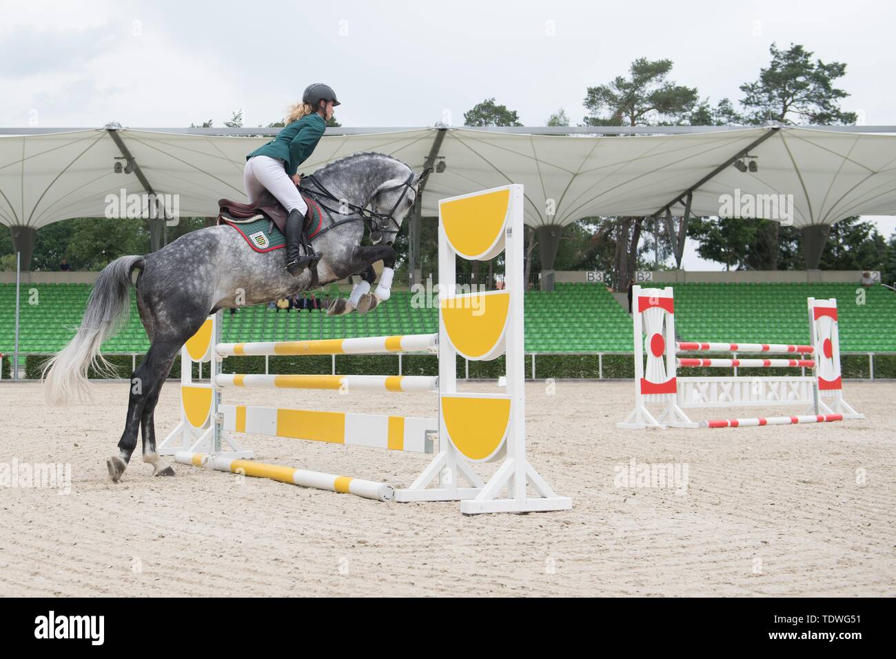 Moritzburg, Germany. 19th June, 2019. The stud keeper Vanessa Ebert jumps over an obstacle on a ...