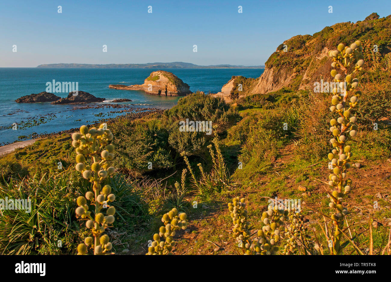 Off islands hi-res stock photography and images - Alamy