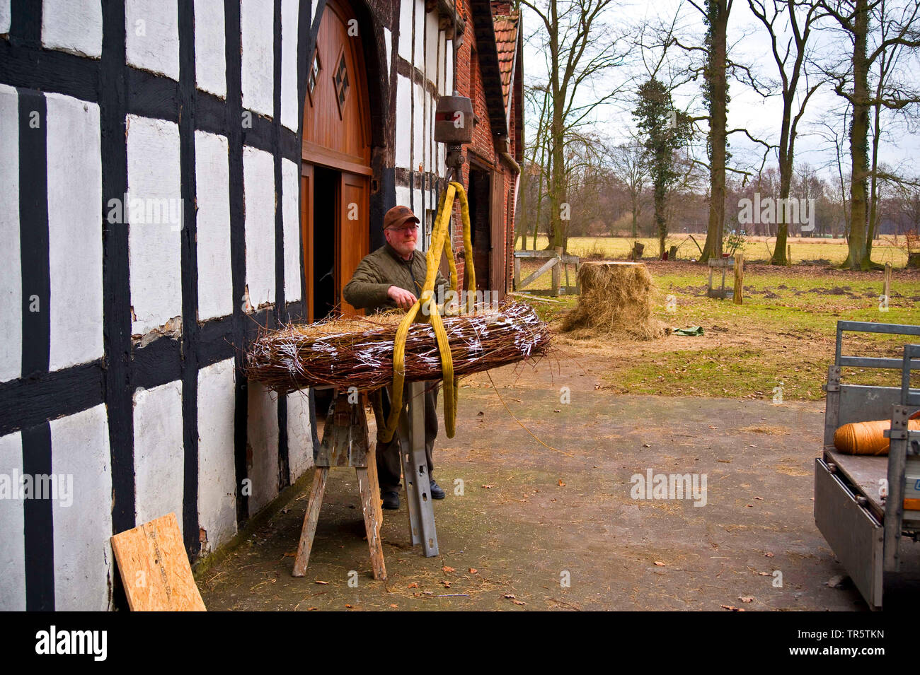 white stork (Ciconia ciconia), stork nest next to a barn, Germany Stock ...