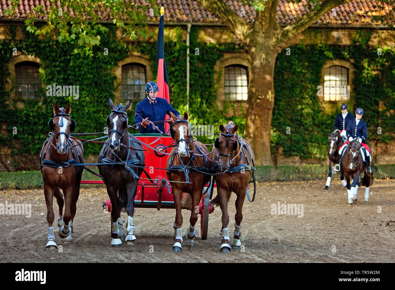 Old man horse germany hi-res stock photography and images - Alamy