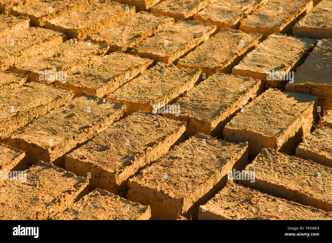 Kasbah morocco bricks hi-res stock photography and images - Alamy