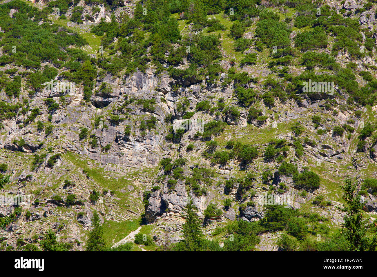 Precipitous slope hi-res stock photography and images - Alamy