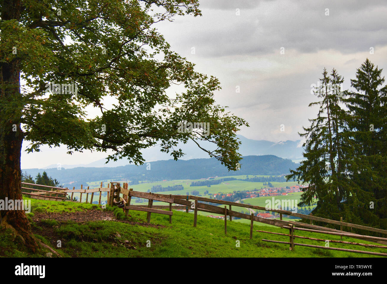 Move to summer pastures hi-res stock photography and images - Alamy