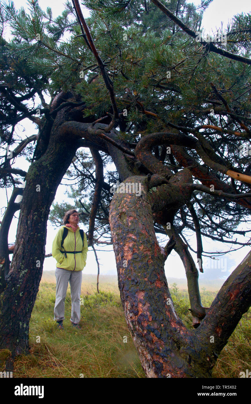 Clearing dead plants hi-res stock photography and images - Alamy