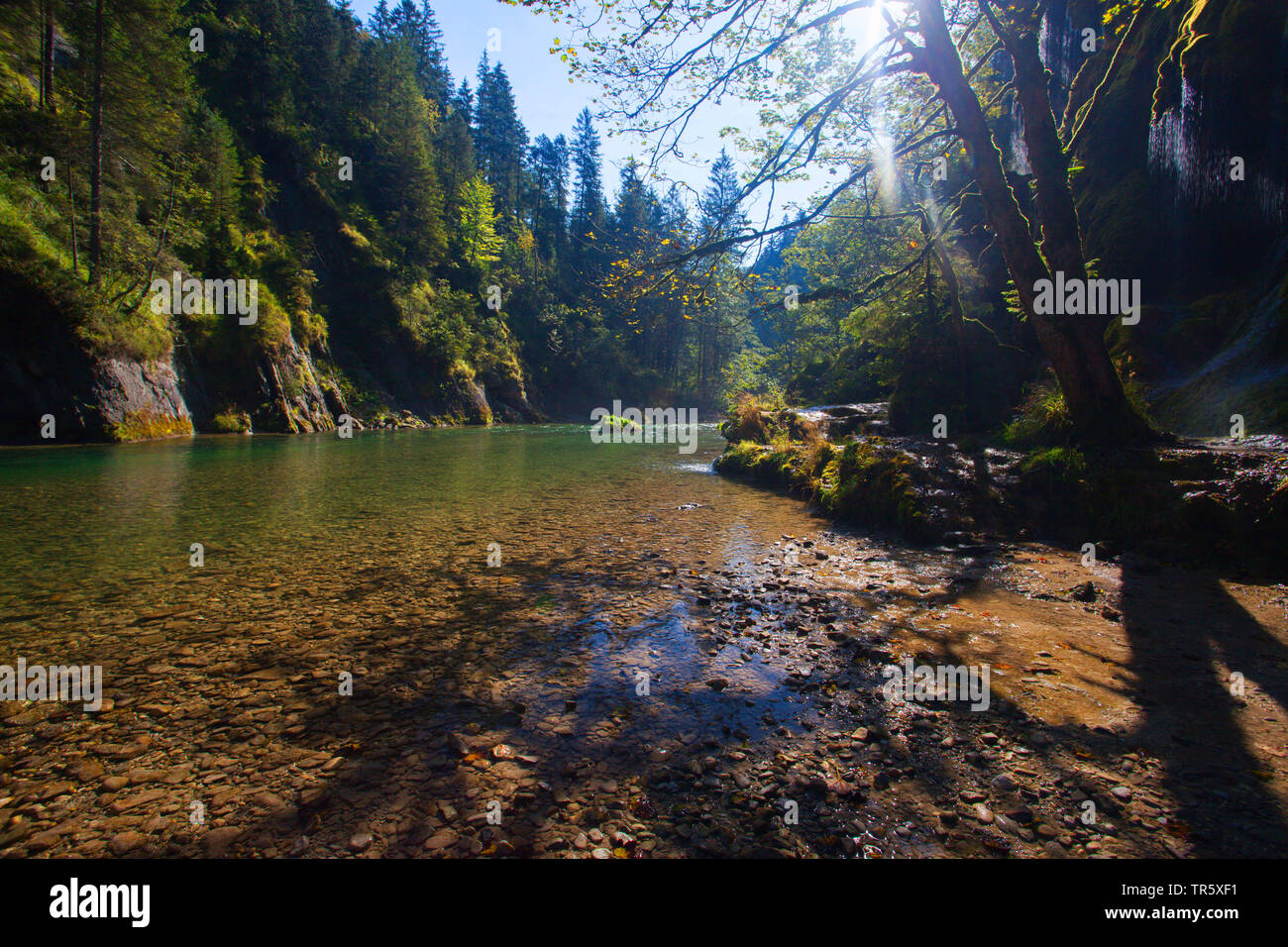 River ammer hi-res stock photography and images - Alamy