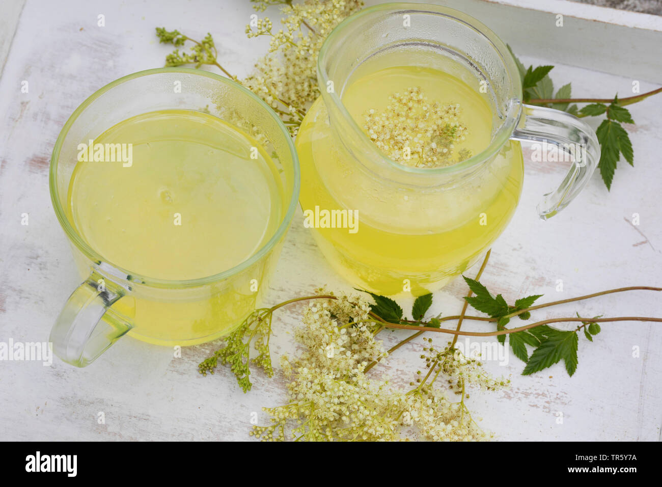 Queen drinks tea hi-res stock photography and images - Alamy