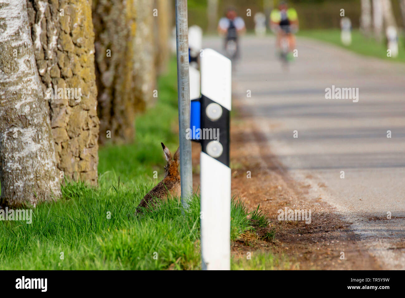 Roadside posts hi-res stock photography and images - Alamy