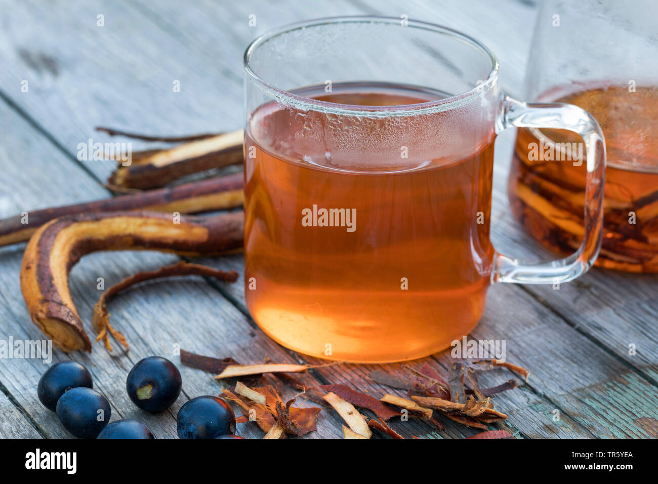 blackthorn, sloe (Prunus spinosa), selfmade tea from roots of ...