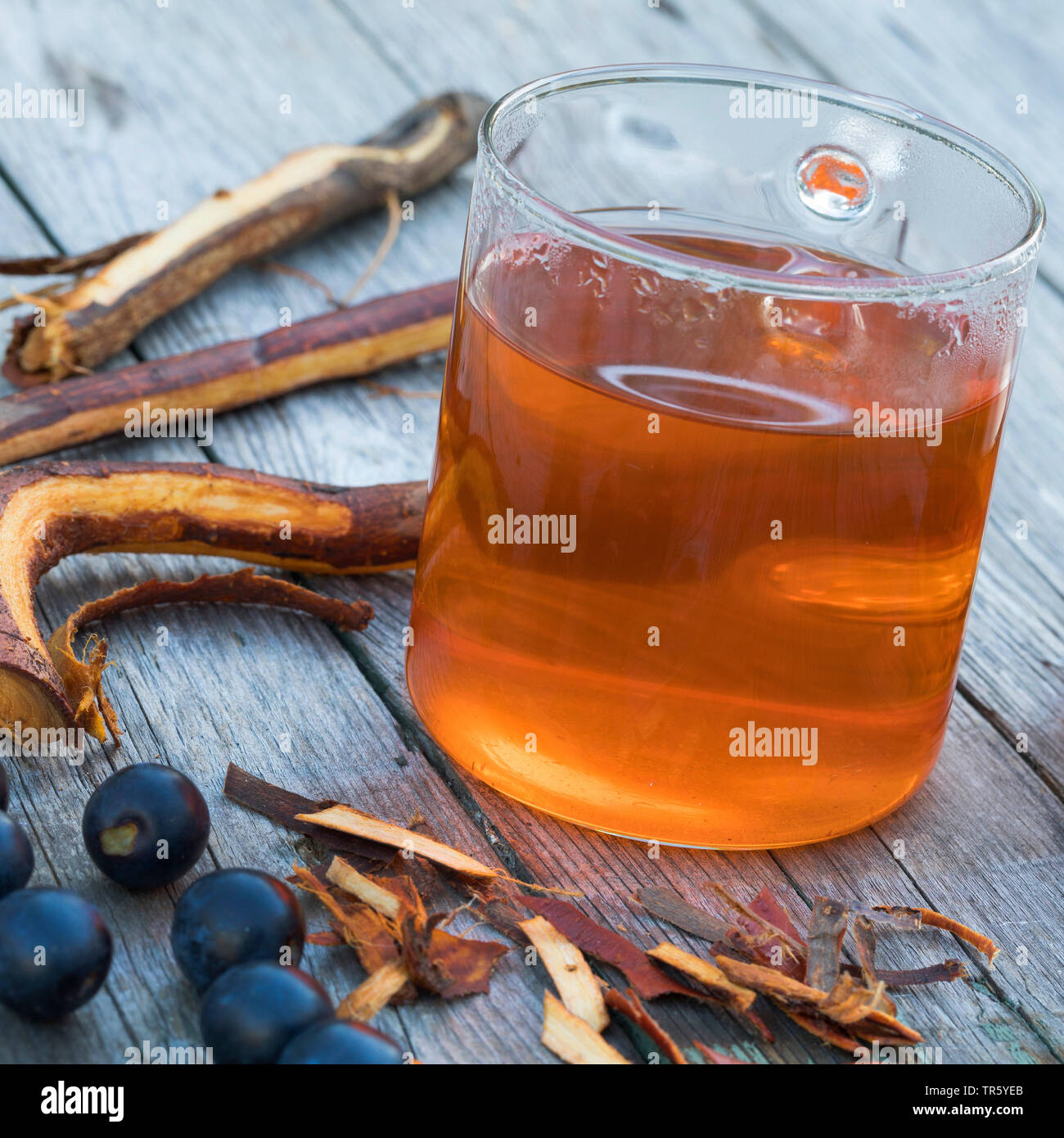 blackthorn, sloe (Prunus spinosa), selfmade tea from roots of ...