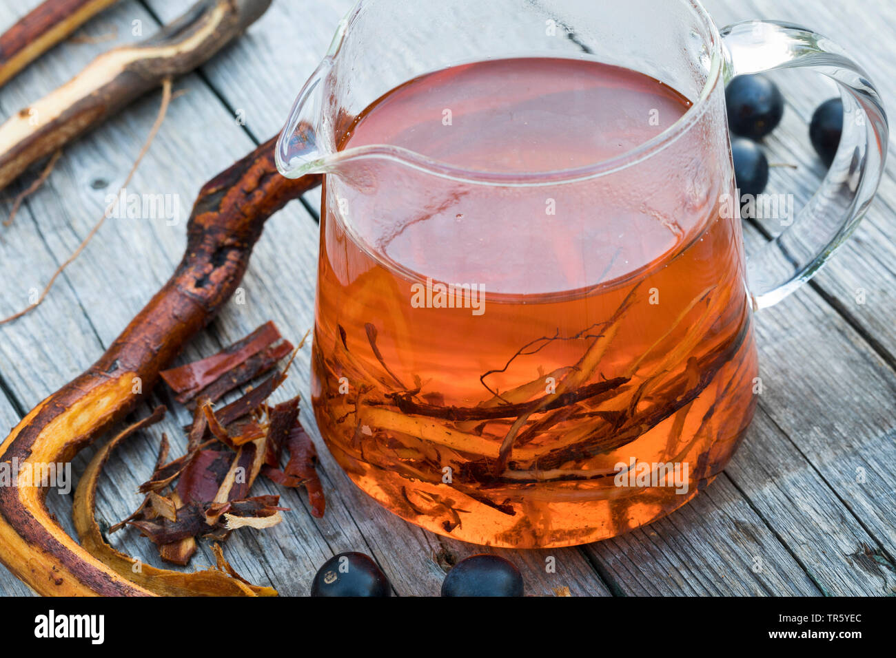 blackthorn, sloe (Prunus spinosa), selfmade tea from roots of ...