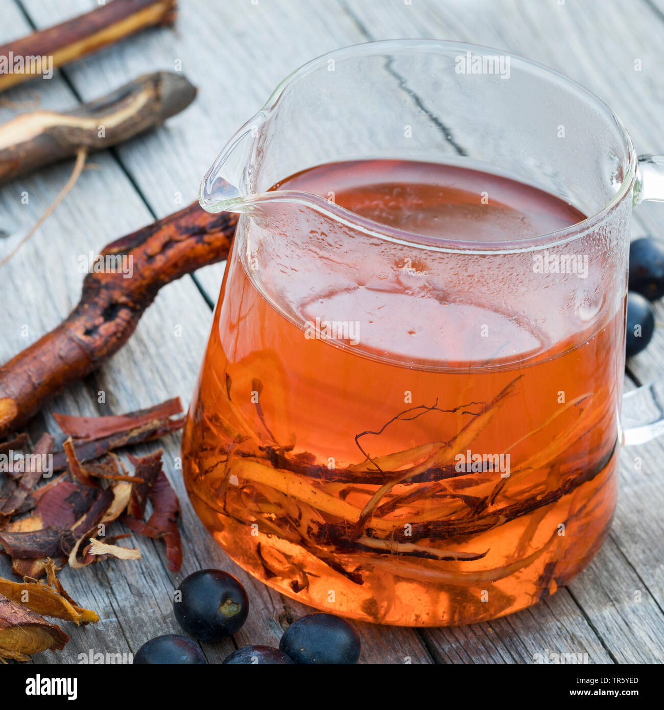 blackthorn, sloe (Prunus spinosa), selfmade tea from roots of ...