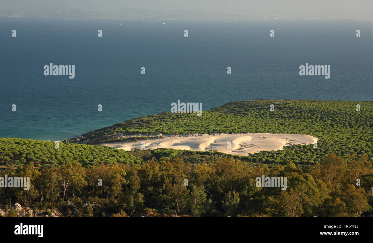 Bolonia hi-res stock photography and images - Alamy