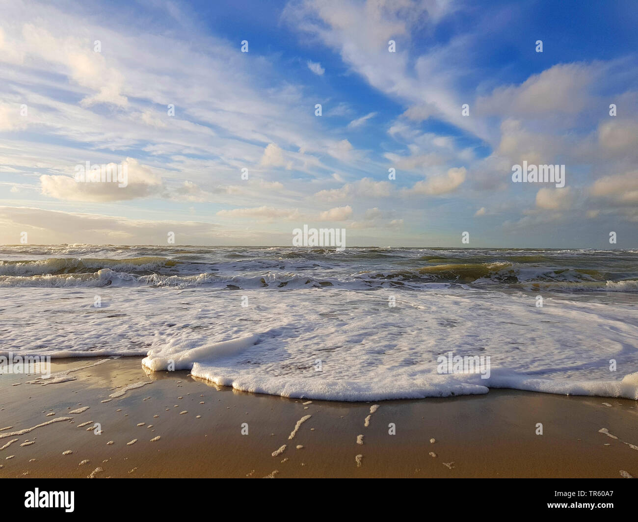 breaking of the waves at North Sea in evening light, Netherlands Stock ...