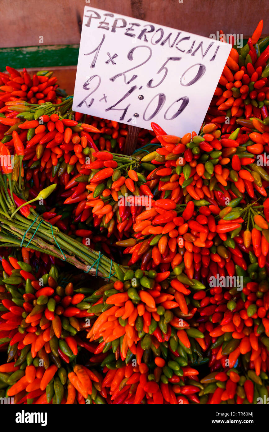 Chili (Capsicum spec. ), bunch of chili pepper on a market, Italy Stock ...