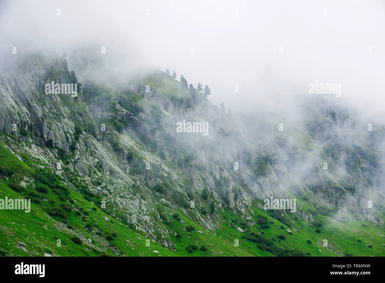Patches of fog hi-res stock photography and images - Alamy