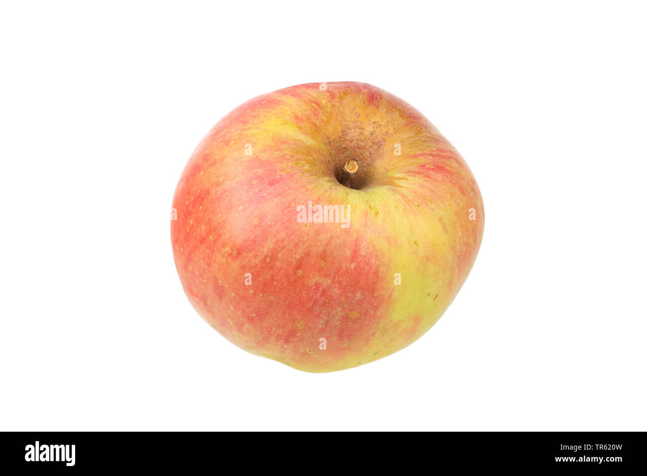 Anhalter hi-res stock photography and images - Alamy