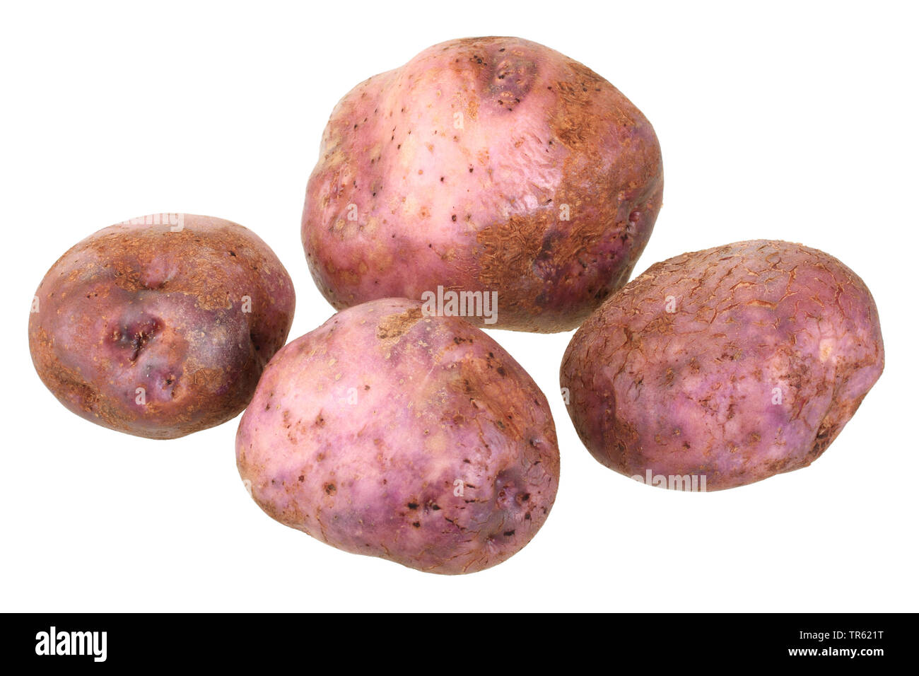Potato skerry blue hi-res stock photography and images - Alamy
