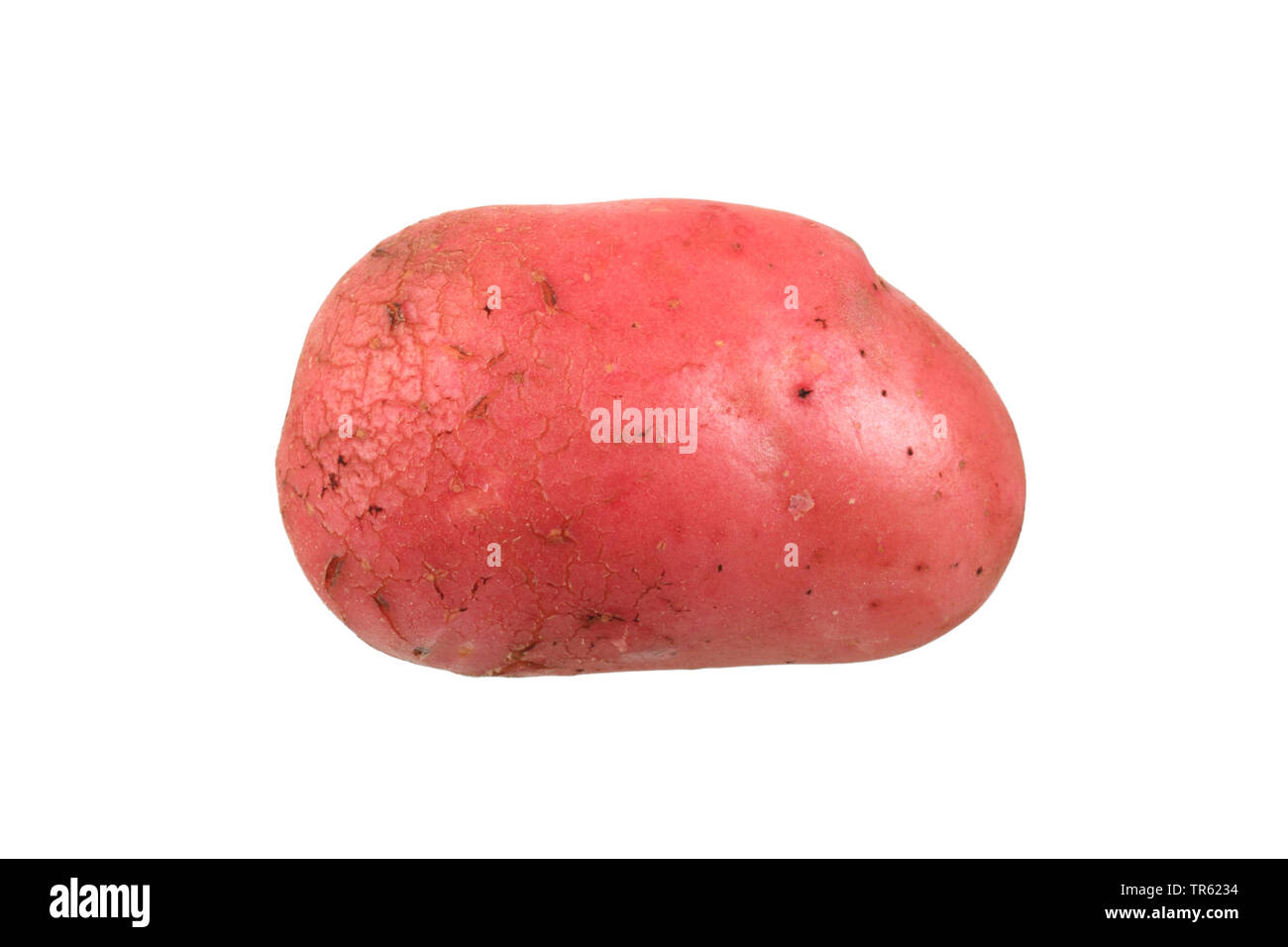 potato (Solanum tuberosum Laura), potato of cultivar Laura, cutout ...