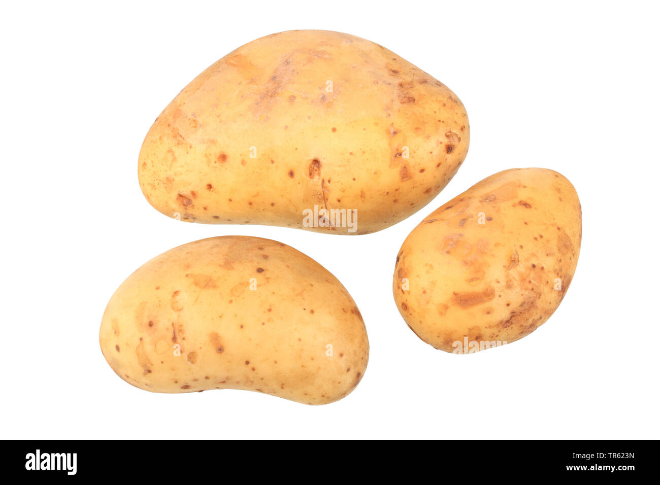 potato (Solanum tuberosum Heidi), potatoes of cultivar Heidi, cutout ...