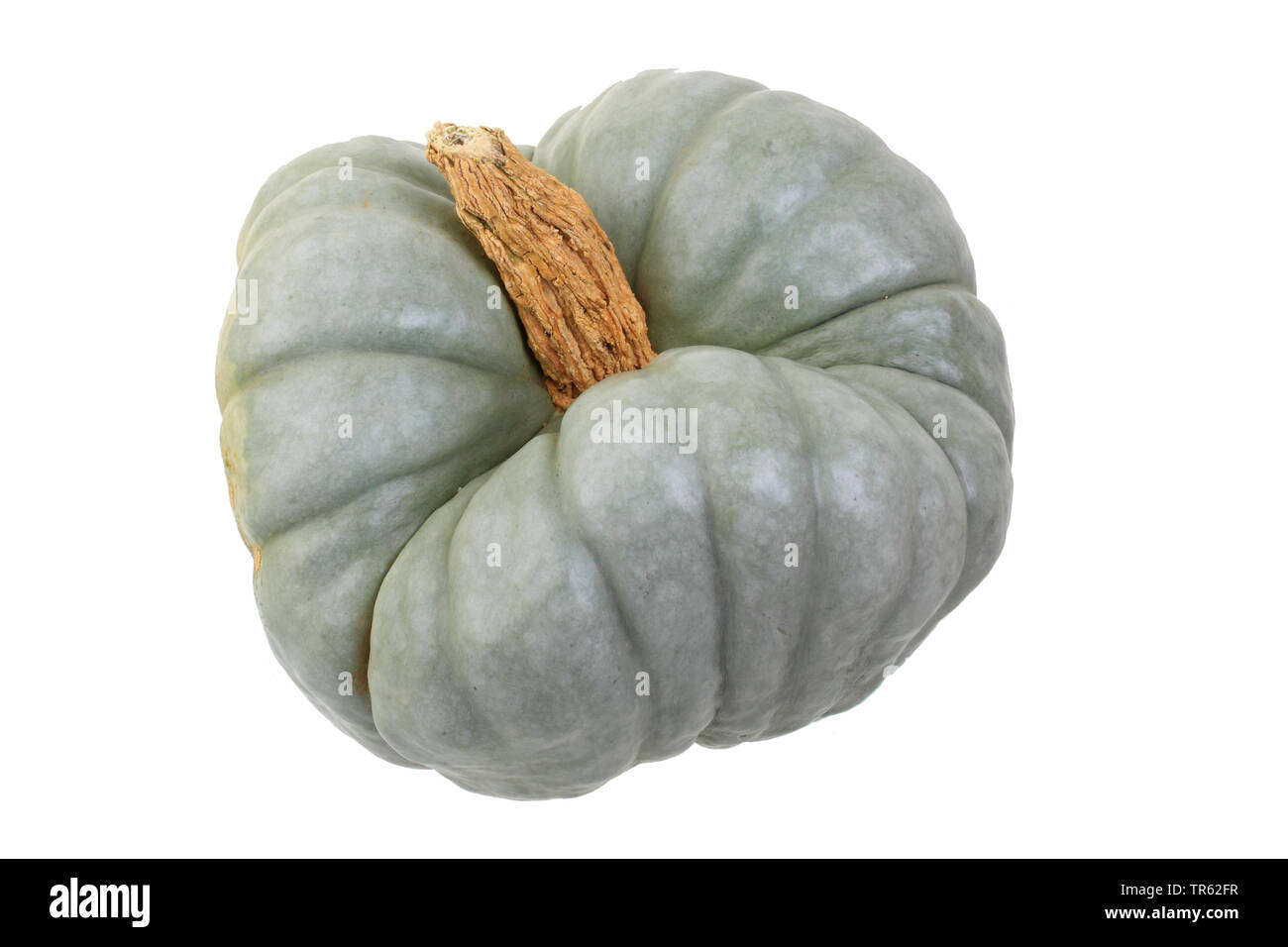 Cultivar of cucurbita maxima Cut Out Stock Images & Pictures - Alamy