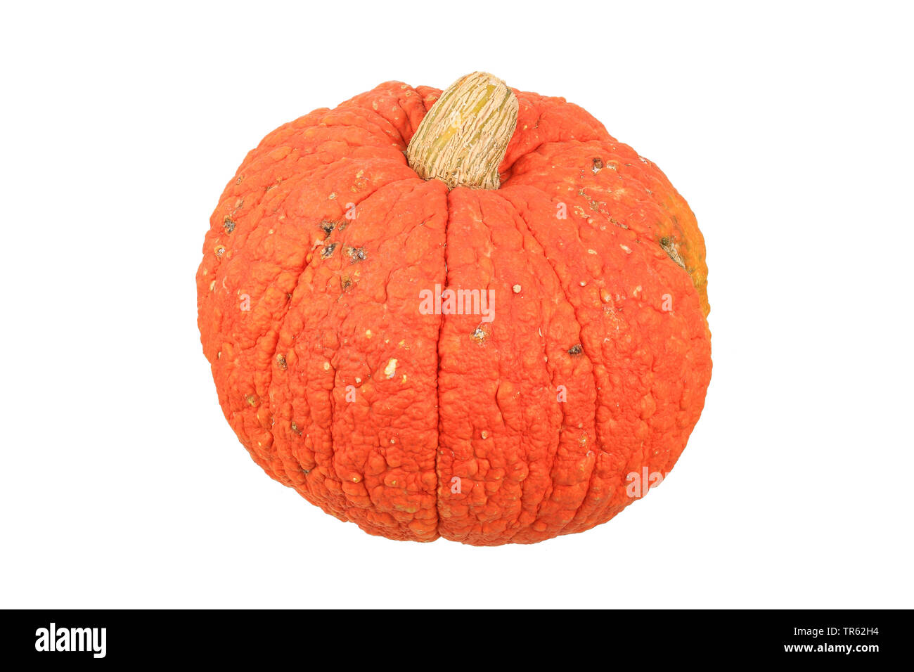 Hubbard squash hi-res stock photography and images - Alamy